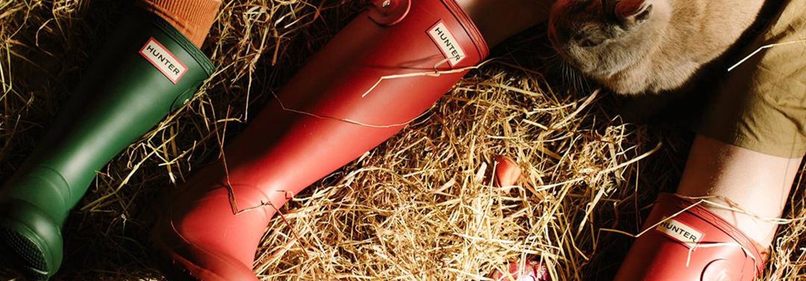 Hunter Boot, Ltd. - Searchlight Capital