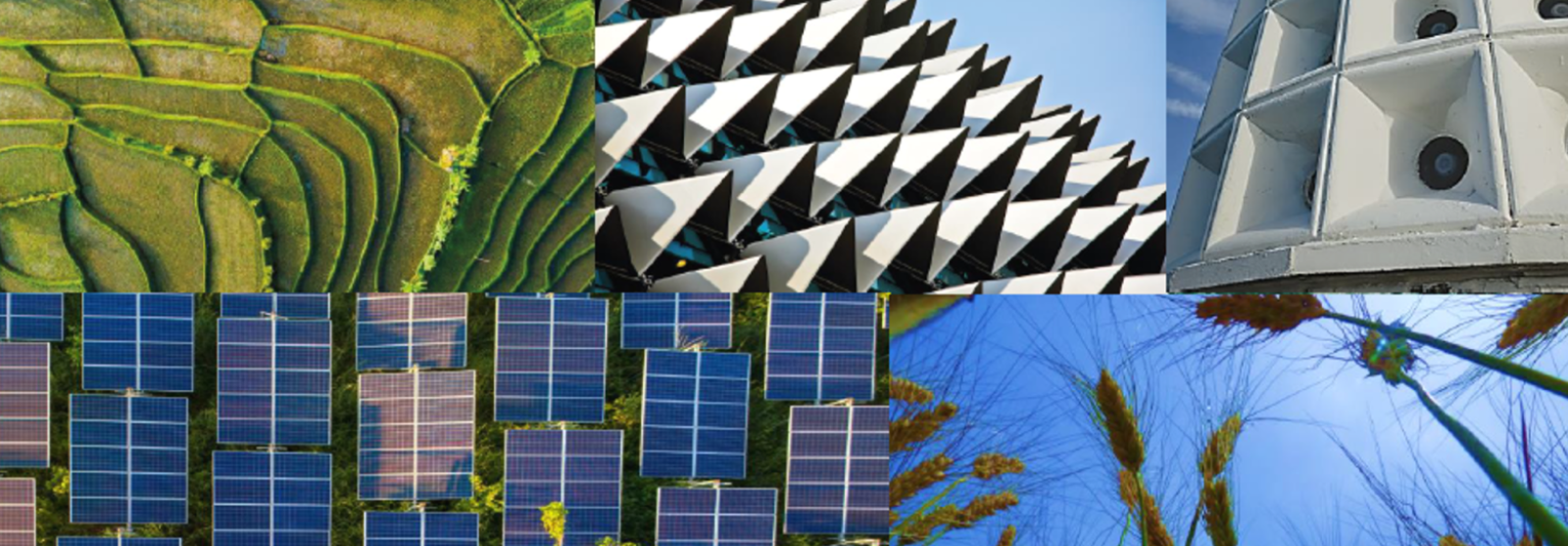 RSK Group. - Searchlight Capital