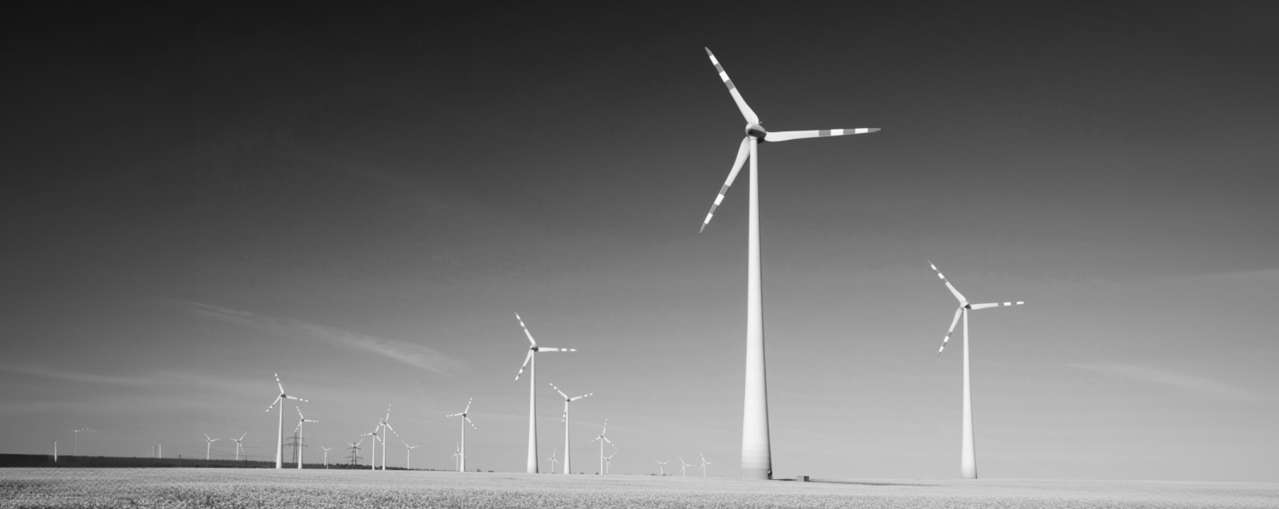 RSK Group. - Searchlight Capital